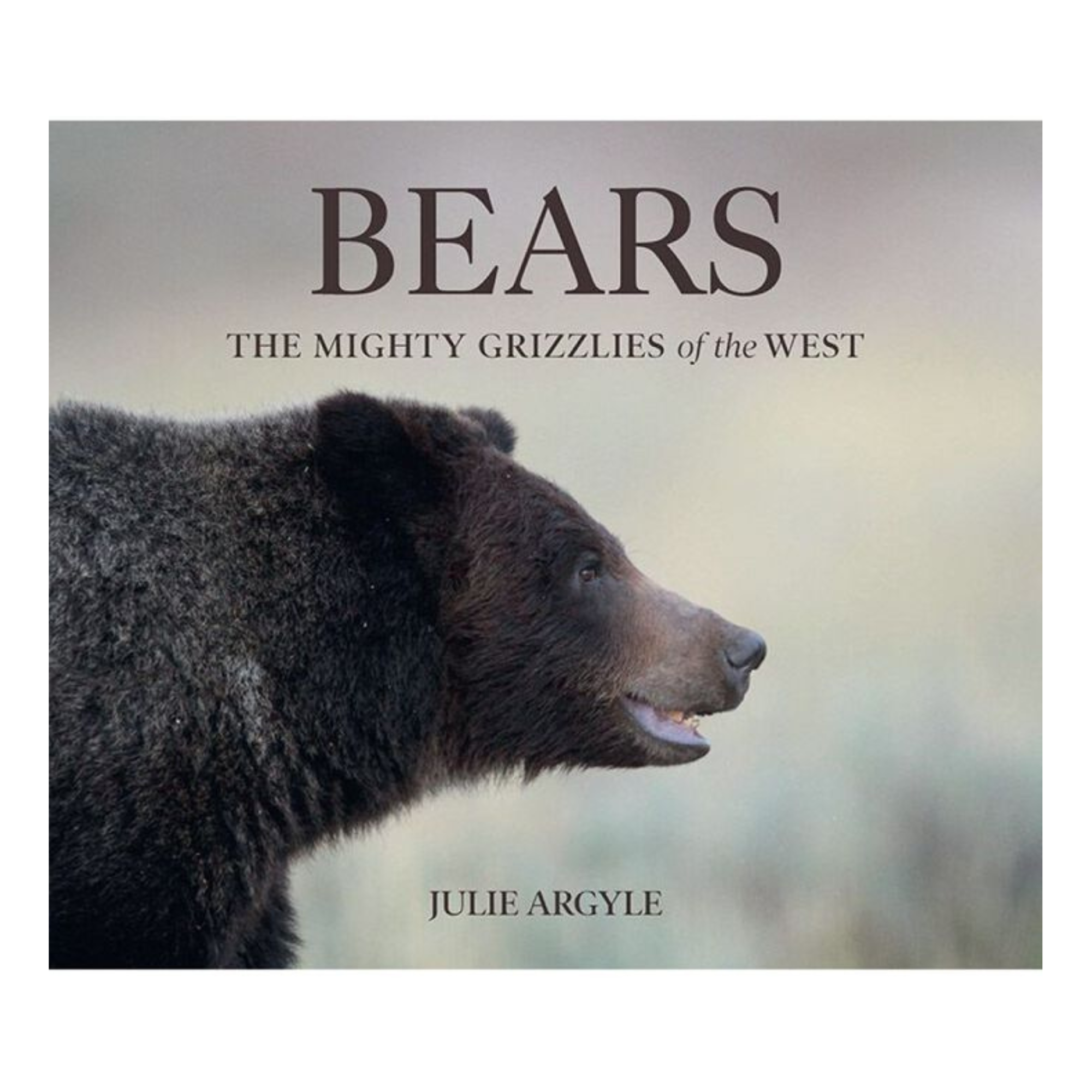 Bears: The Mighty Grizzlies of the West – National Museum of Wildlife Art