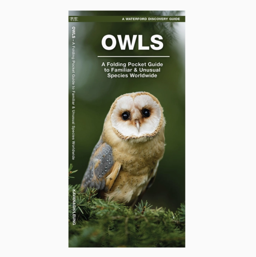 Owls (Discover Guide) – National Museum of Wildlife Art