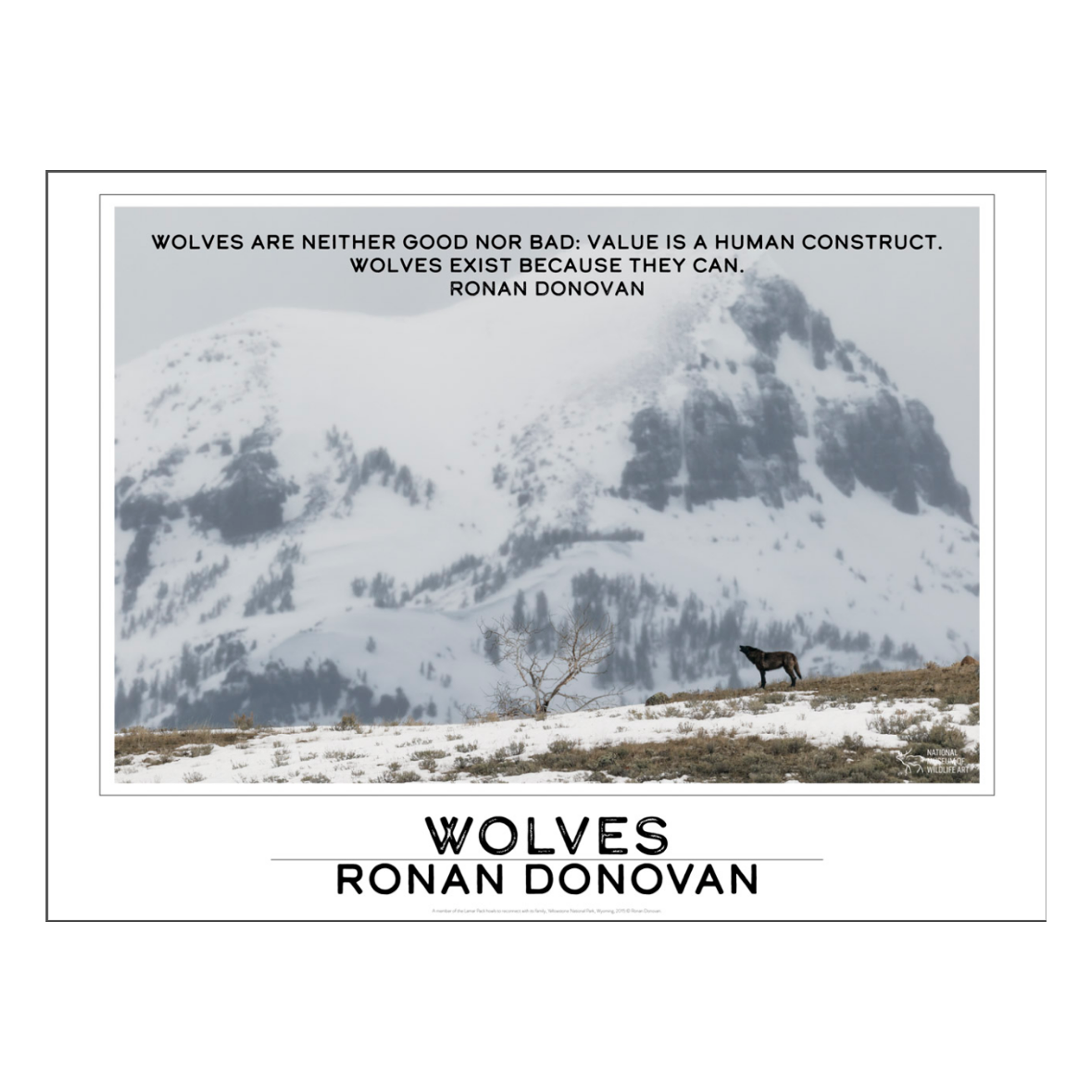 Ronan Donovan Poster 'Wolf #1' – National Museum of Wildlife Art